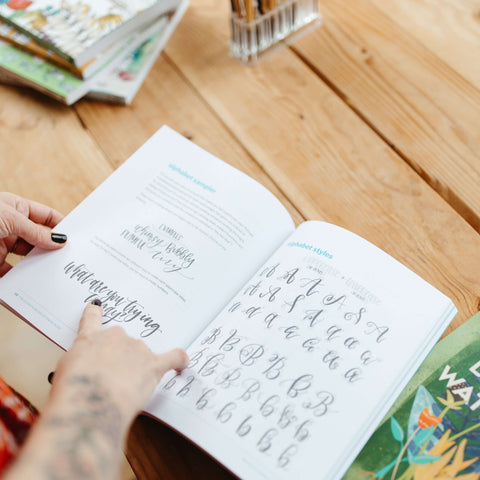 The Pigeon Letters – Canvas Store