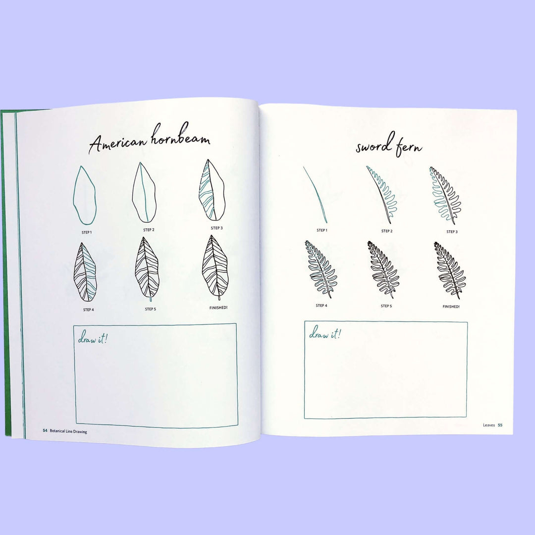 Botanical Line Drawing by Peggy Dean | The Pigeon Letters – Canvas Store